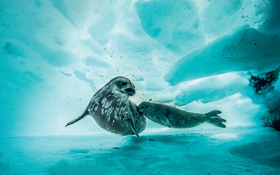 GOMBESSA III EXPEDITION | Blancpain Digital Magazine