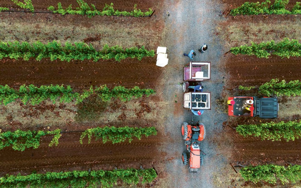 Peter Michael WINERY | Blancpain Digital Magazine